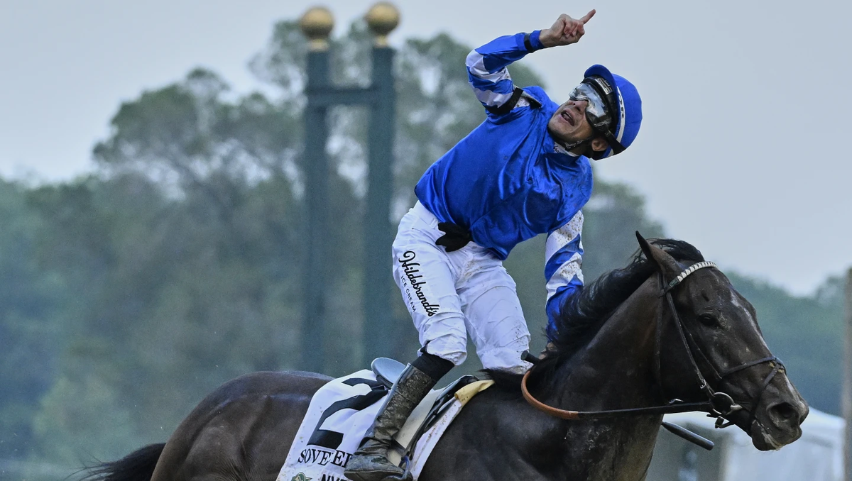 Kentucky Derby winner Sovereignty wins Belmont Stakes, beating out ...