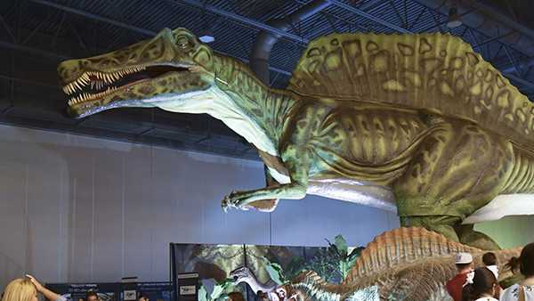 Louisville to travel back in time with life-size dinosaurs exhibit