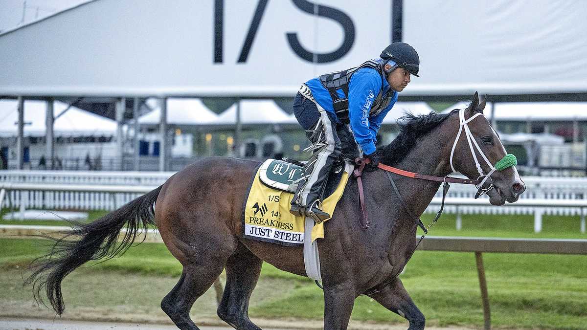 149th Preakness Stakes in photos