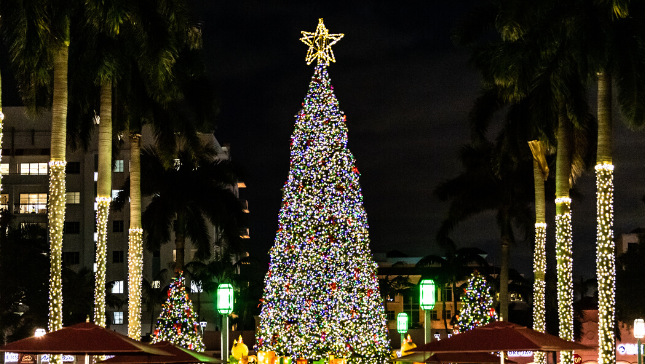 Holiday tree lighting ceremony in Boca Raton