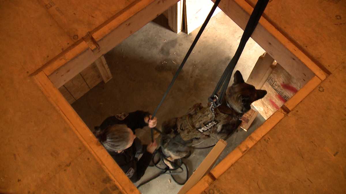 LMPD K9 Unit sees success with specialized equipment