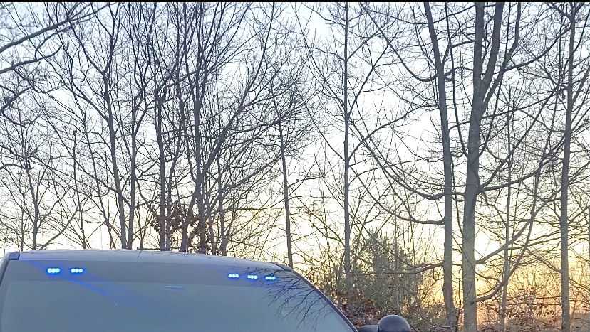 York County K9 makes first first drug, gun seizure