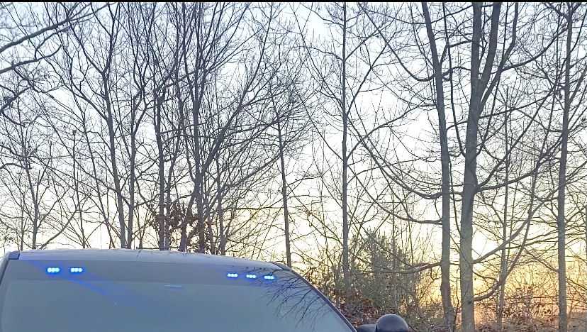 York County K9 makes first first drug, gun seizure