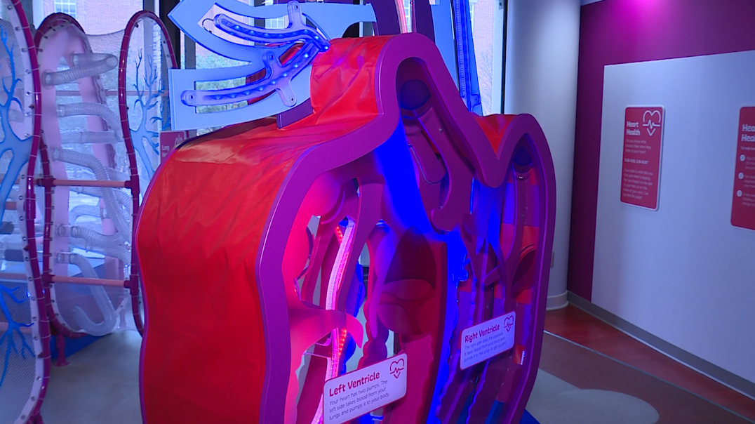 Greenville Upstate Children's Museum features human body exhibit