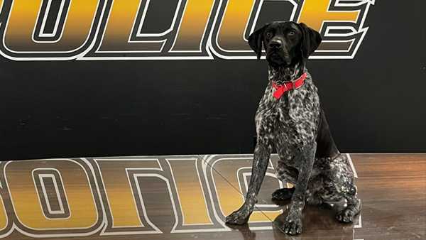 Meet Clarksville Police Department's newest K-9 officer: Dozer