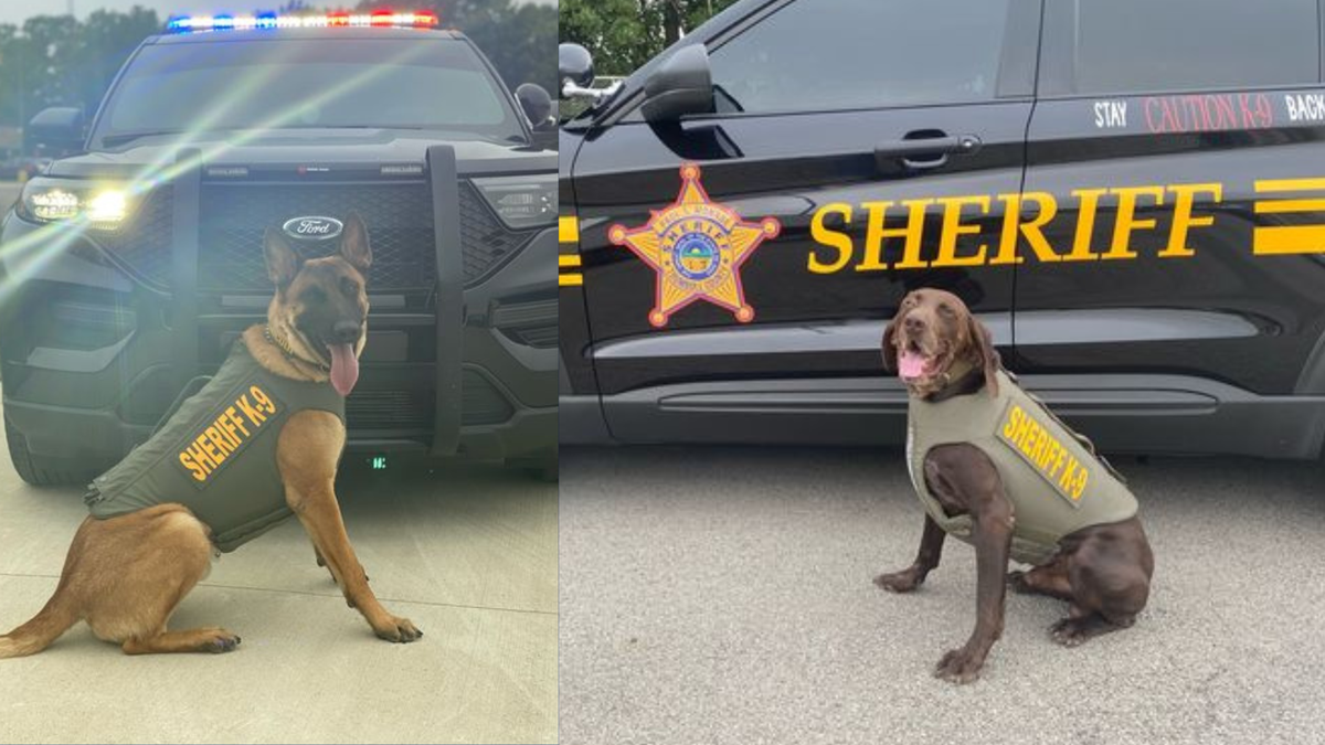 Ohio police K9 officers gifted bullet, stab protective vests
