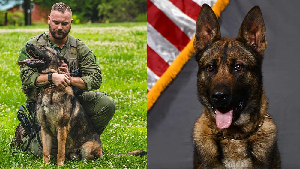 Georgia police department announces sudden passing of K9