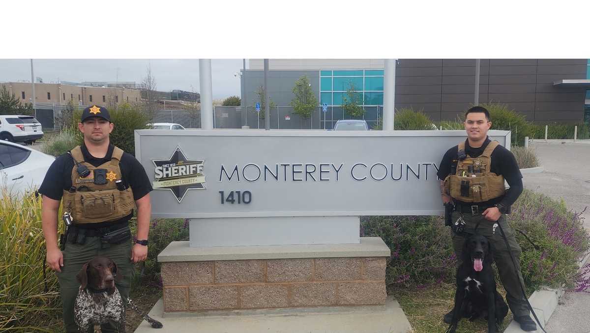 2 new furry additions to the Monterey County Sheriff's Office