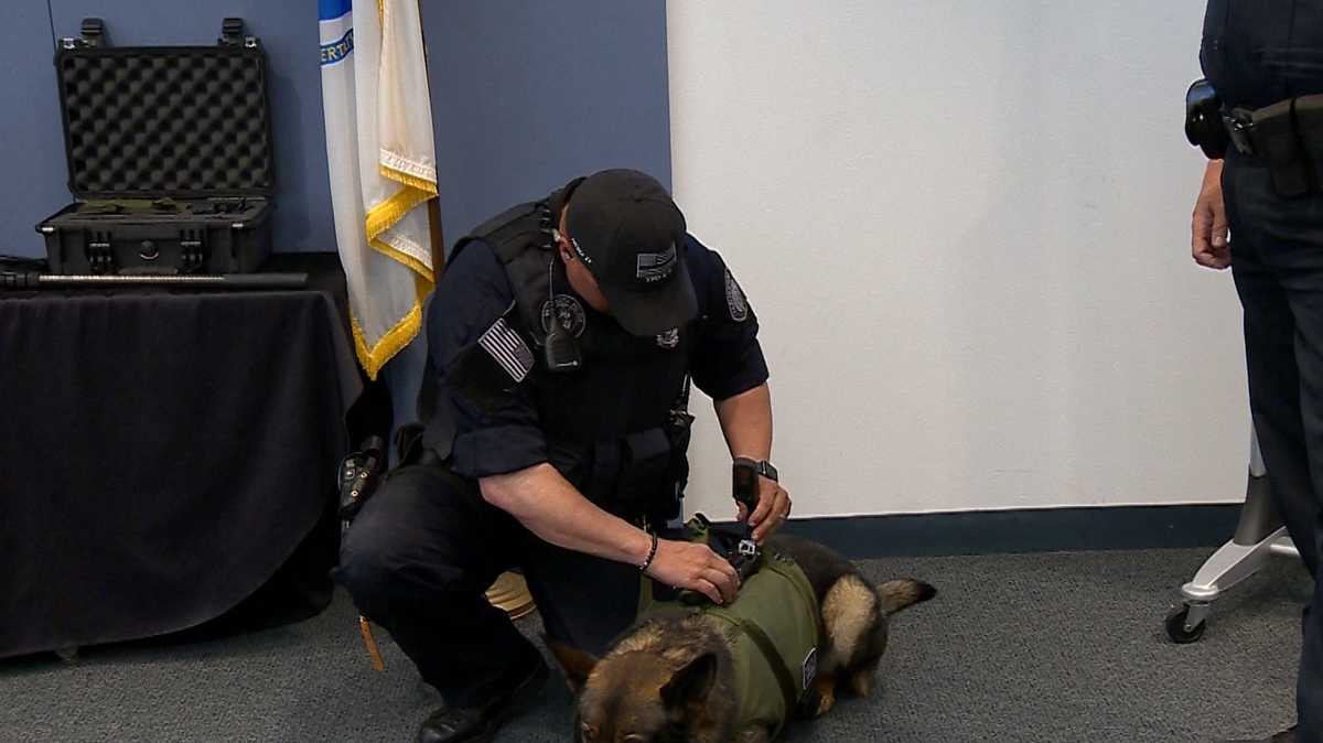 Cape Cod police dog gets high-tech equipment