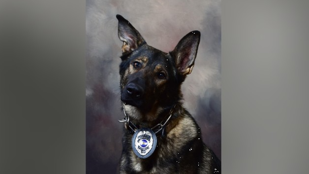 Mequon police K9 dies