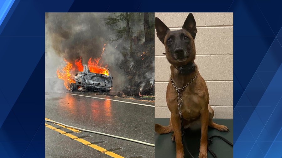 Alabama deputy saves K-9 partner from burning car