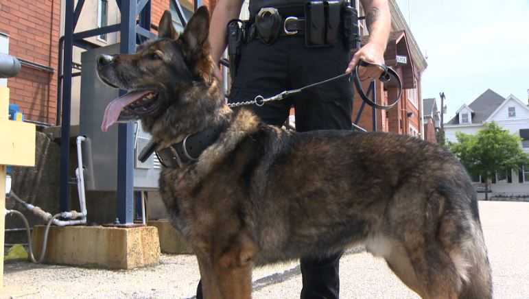 Greensburg K9 Falco retires