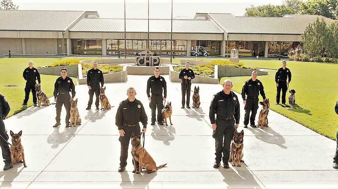CHP K-9 officers graduate after hundreds of hours of training