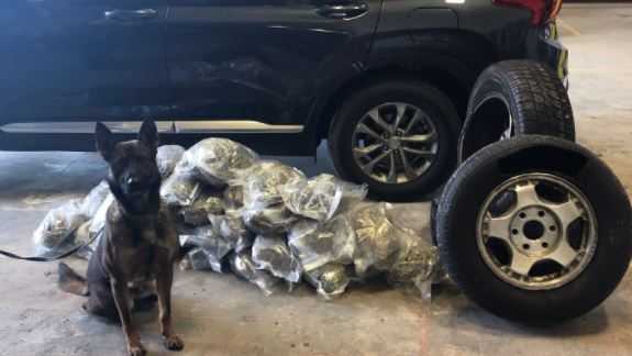 NSP: K9 Leeroy assists in seizure of 25 pounds of marijuana