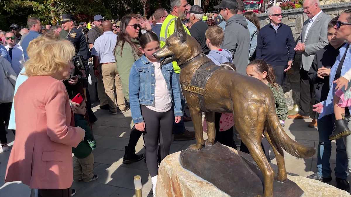 Braintree memorial statue for K9 killed in the line of duty unveiled