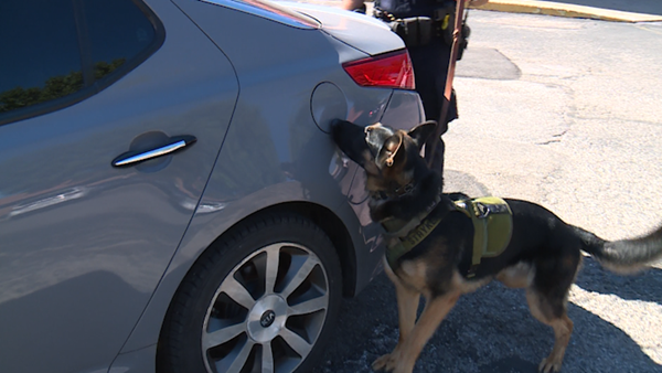 Kentucky's medical marijuana program has police departments rethinking ...