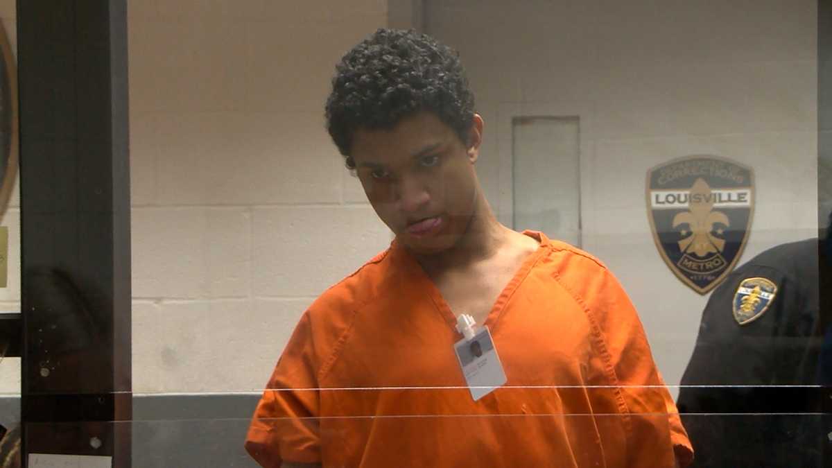 Man indicted in 15-year-old's stabbing death; lawyer says he's ...