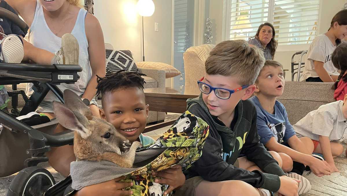 Families at Florida medical center cuddle with baby kangaroos