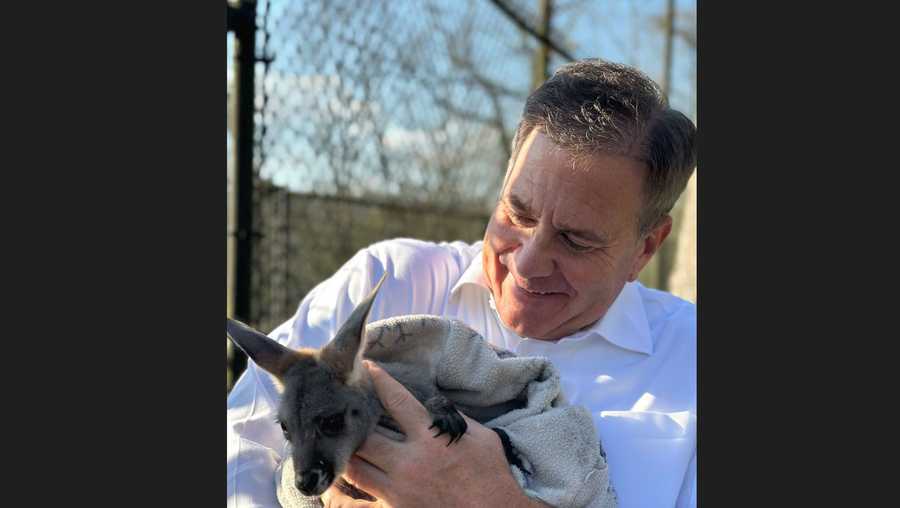 Kangaroo now part of Noccalula Falls Park petting zoo in Gadsden