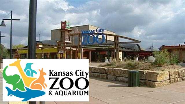 Kansas City Zoo announces name change, embracing future aquarium