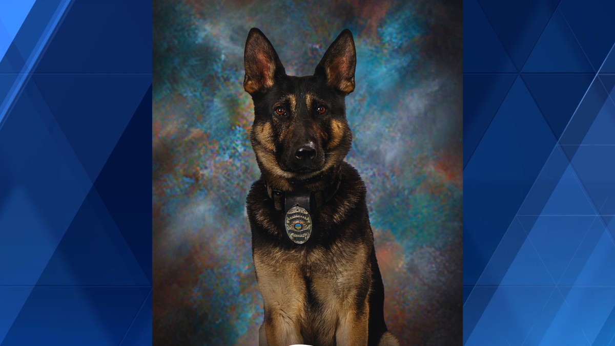 Union Township Police Department mourning loss of K9 officer Kaos