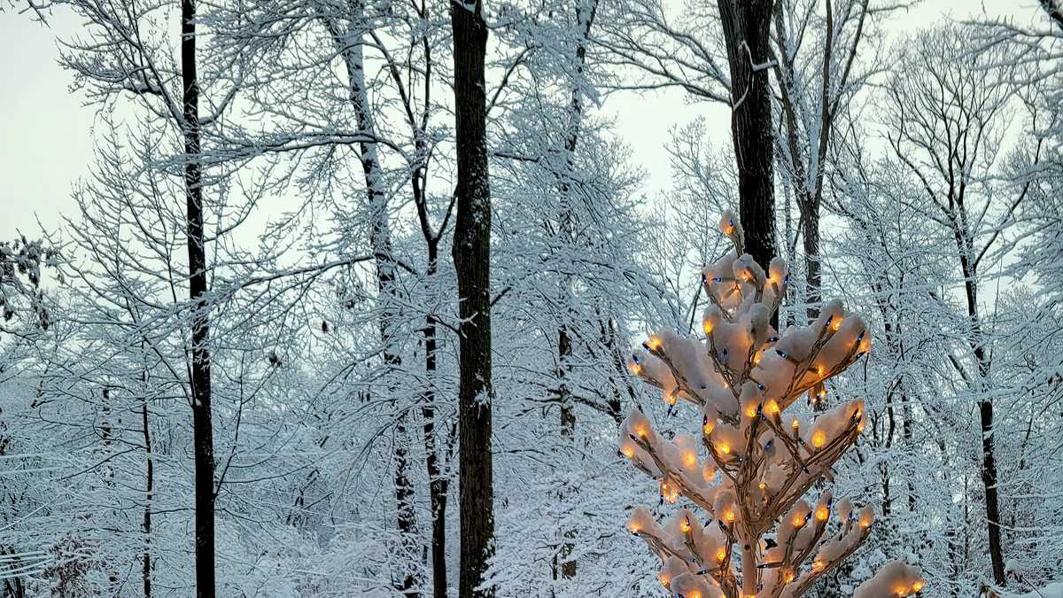 Snowfall totals across Maryland on Dec. 14, 2025 | Photos