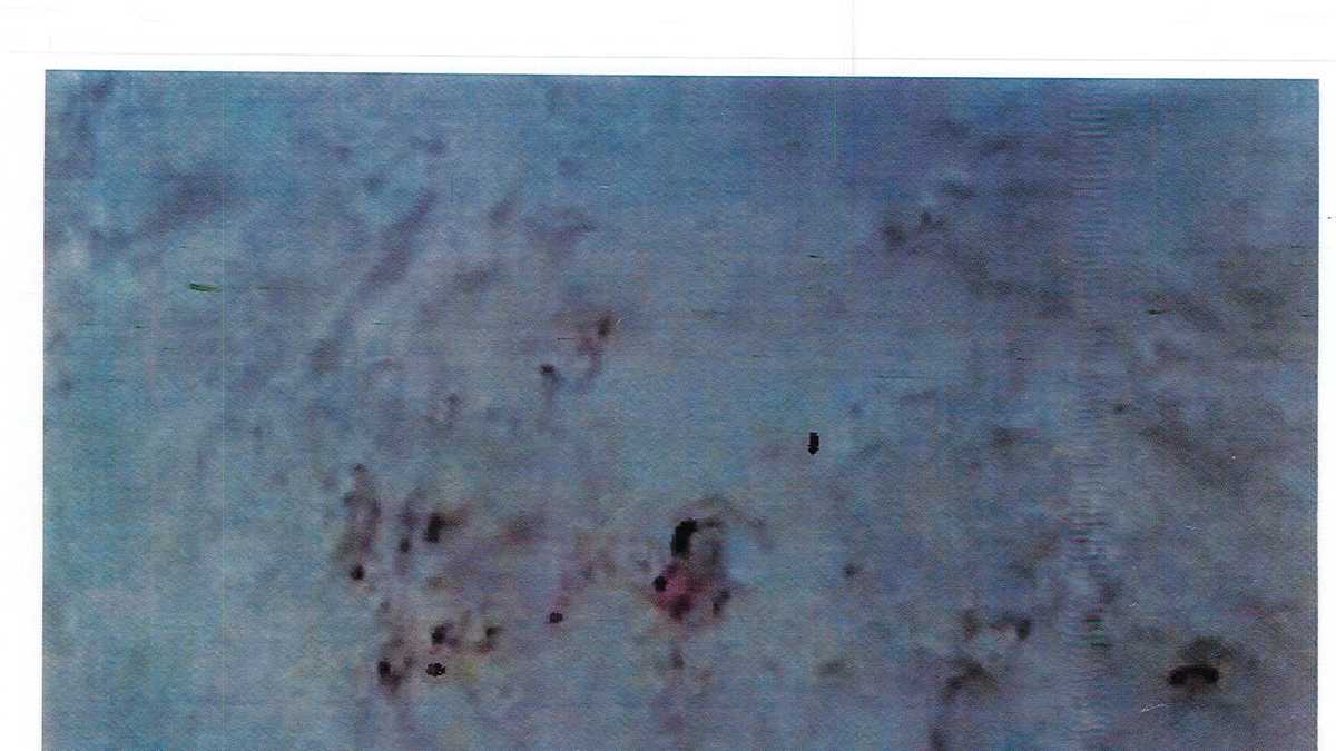 Karen Read murder trial: Evidence shown to jurors in courtroom