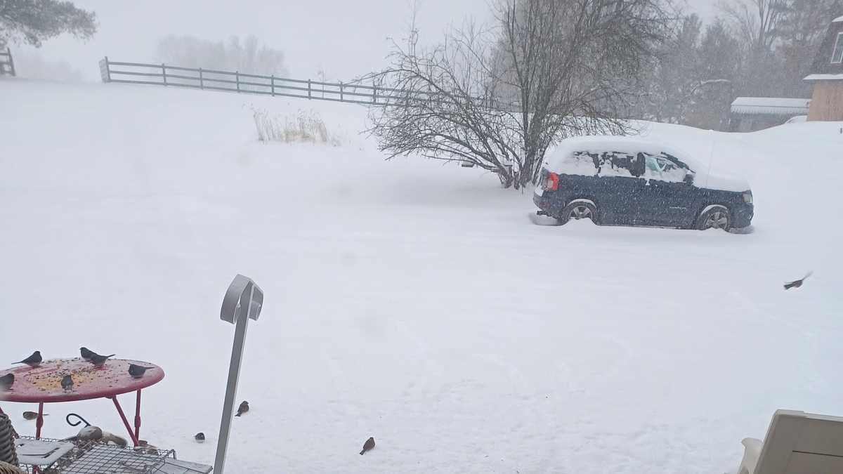 Major Snow Storm 2026: Pictures from the people