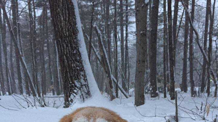 Photos: Powerful nor'easter slams Maine