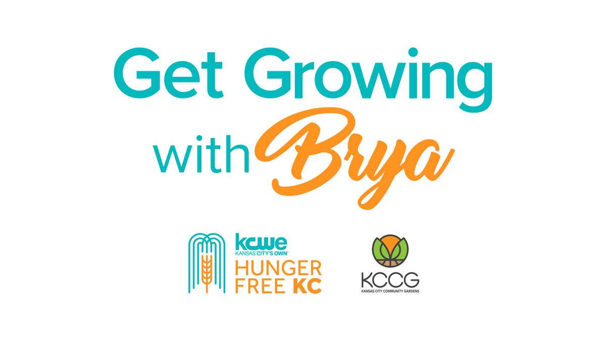 Get Growing with Brya!