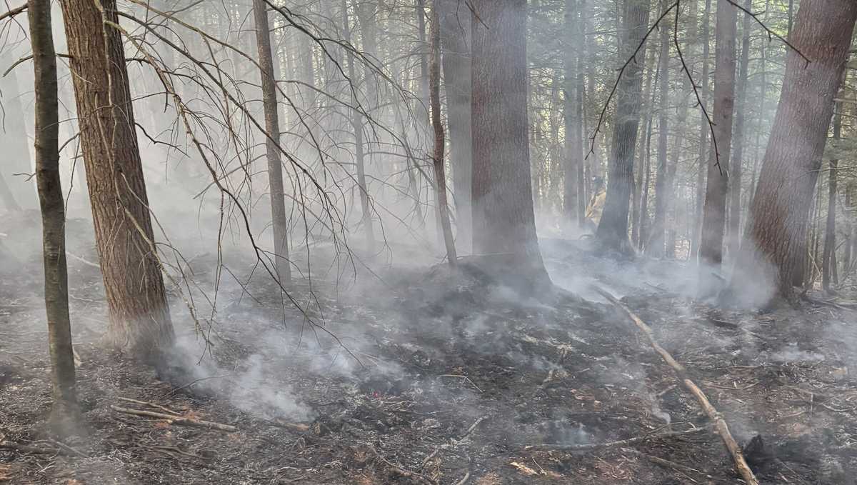 Officials investigating brush fire in Keene, New Hampshire