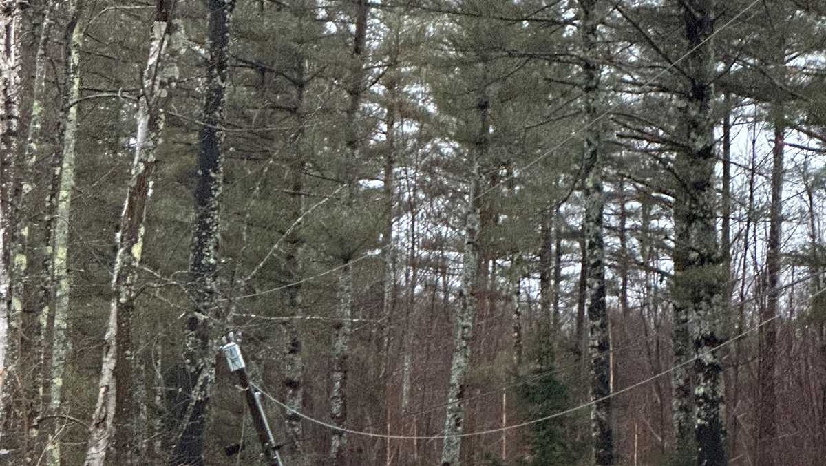 See photos of damage from Tuesday night's winter storm in Vermont
