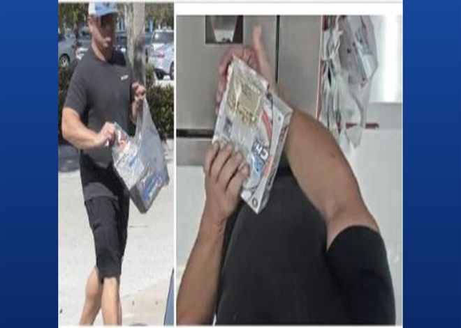 Florida man accused of stealing trading cards, selling them online