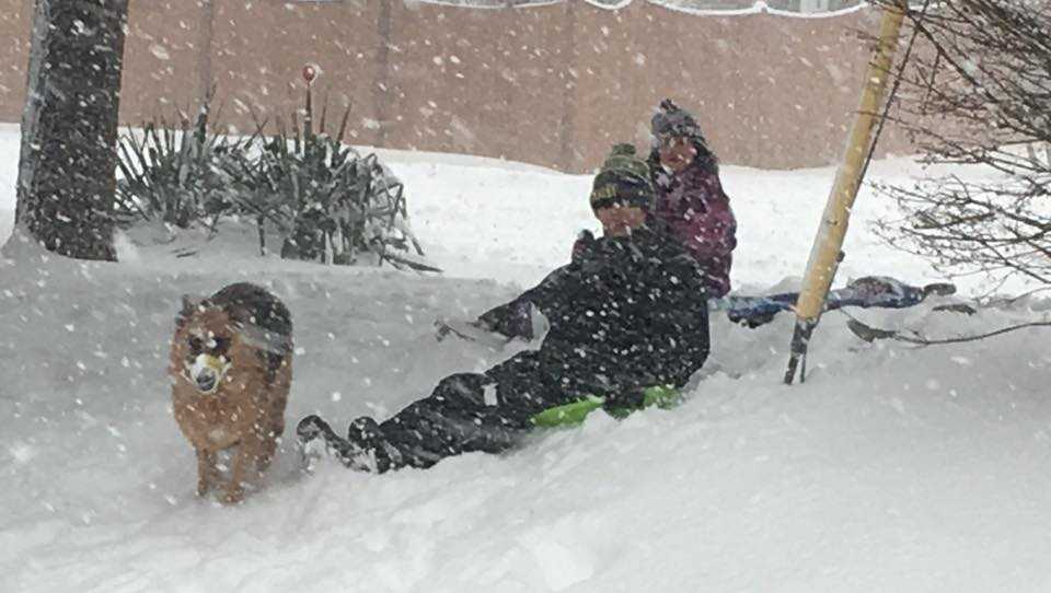 Granite Staters share photos of early February nor'easter