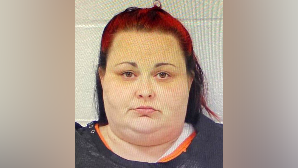 Georgia woman facing felony charges following real estate scam