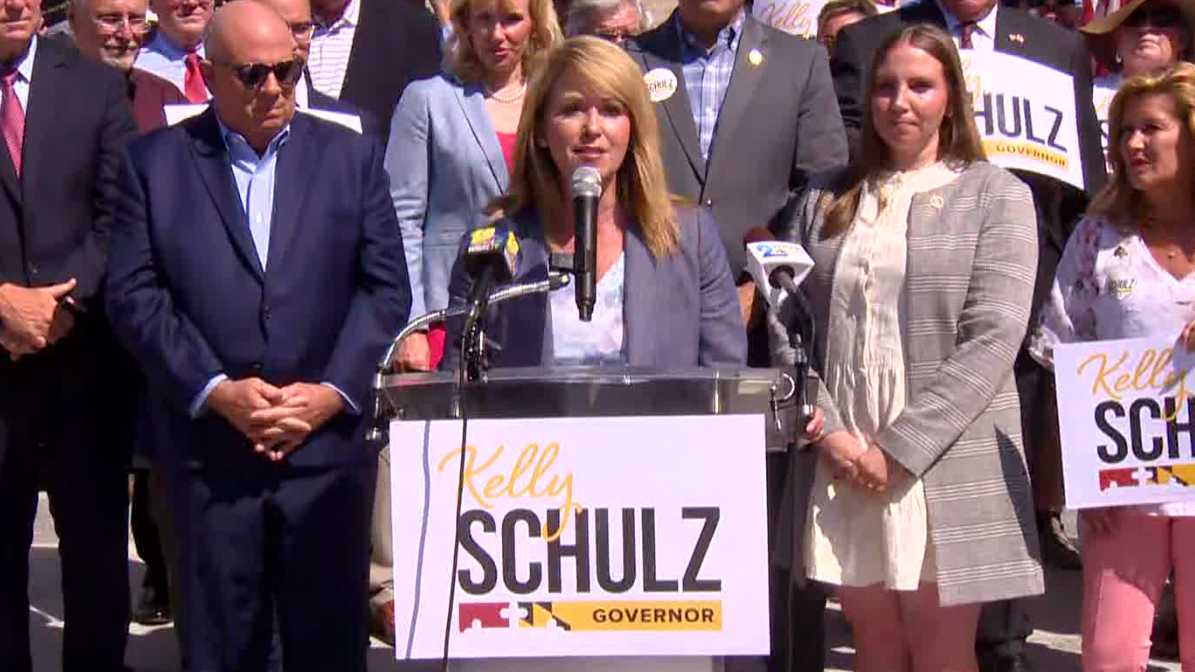 Schulz: Dems meddling in Republican gubernatorial primary race