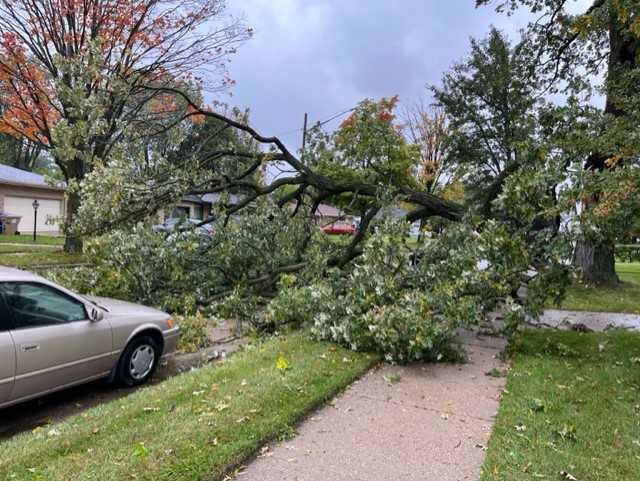 WATCH: Mail carrier avoids falling tree in Kenosha