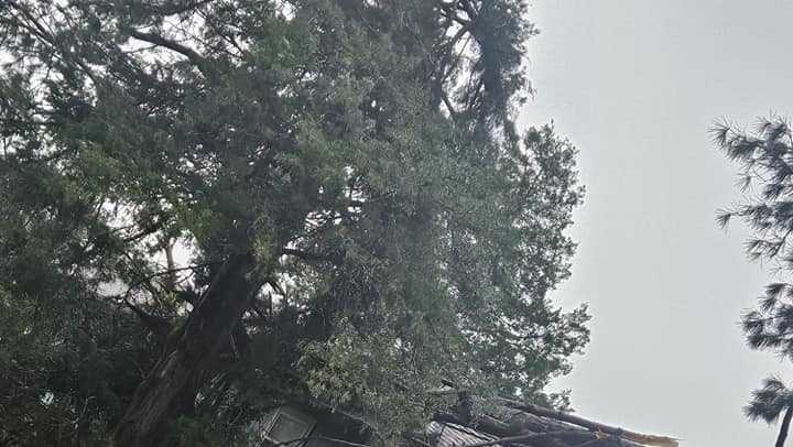 New images show extent of storm damage in Kentwood