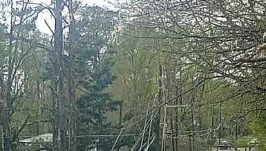 Kentwood hit with severe wind damage, many without power