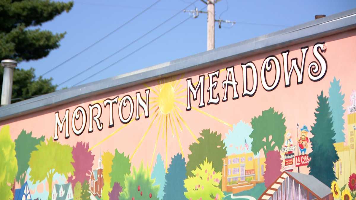 'It's bringing people together already': New mural tells story of South ...