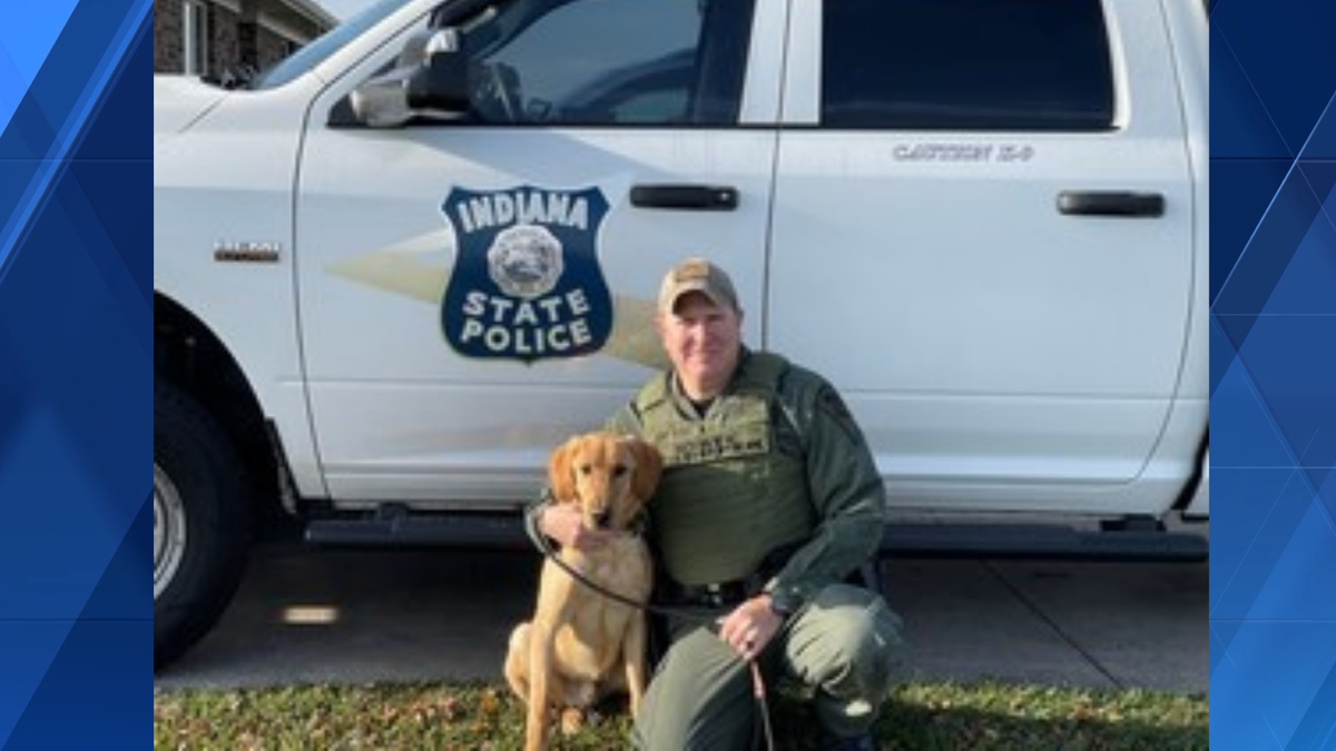 1-year-old Labrador graduates training to become Indiana police K9