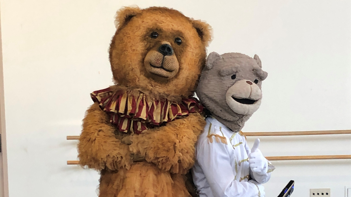 Two of Boston's most famous bears team up for dance party videos