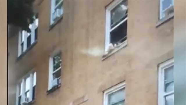 Bystanders rescue toddlers dangling out of window