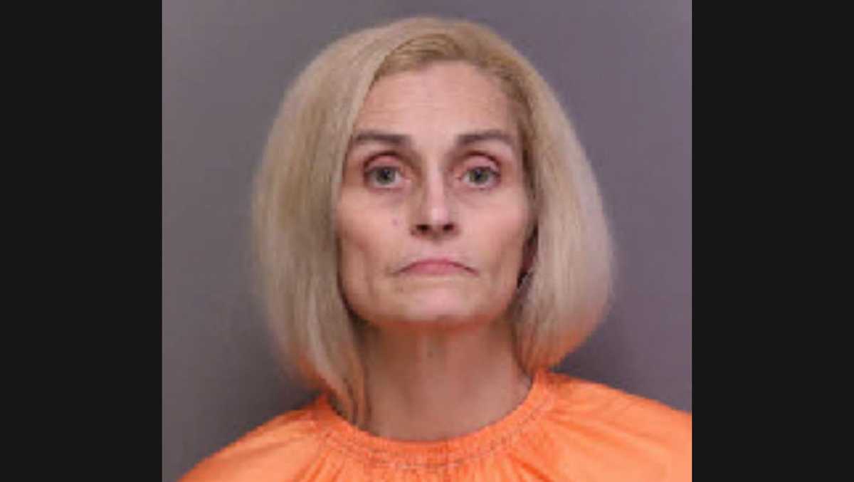 South Carolina: Grandma arrested after kids found in road