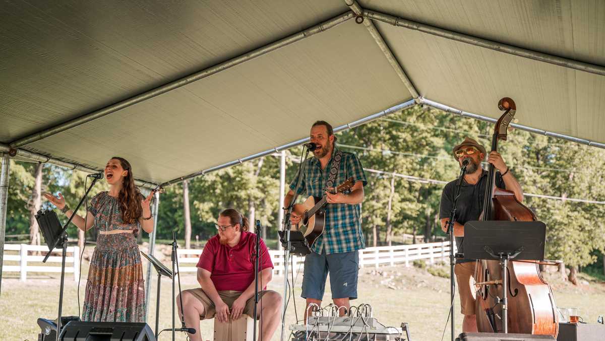 Jammin' for the Arts music festival is back at Trigger's Table & Taproom