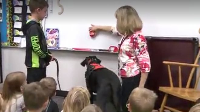 Kindergarten students help train service dog