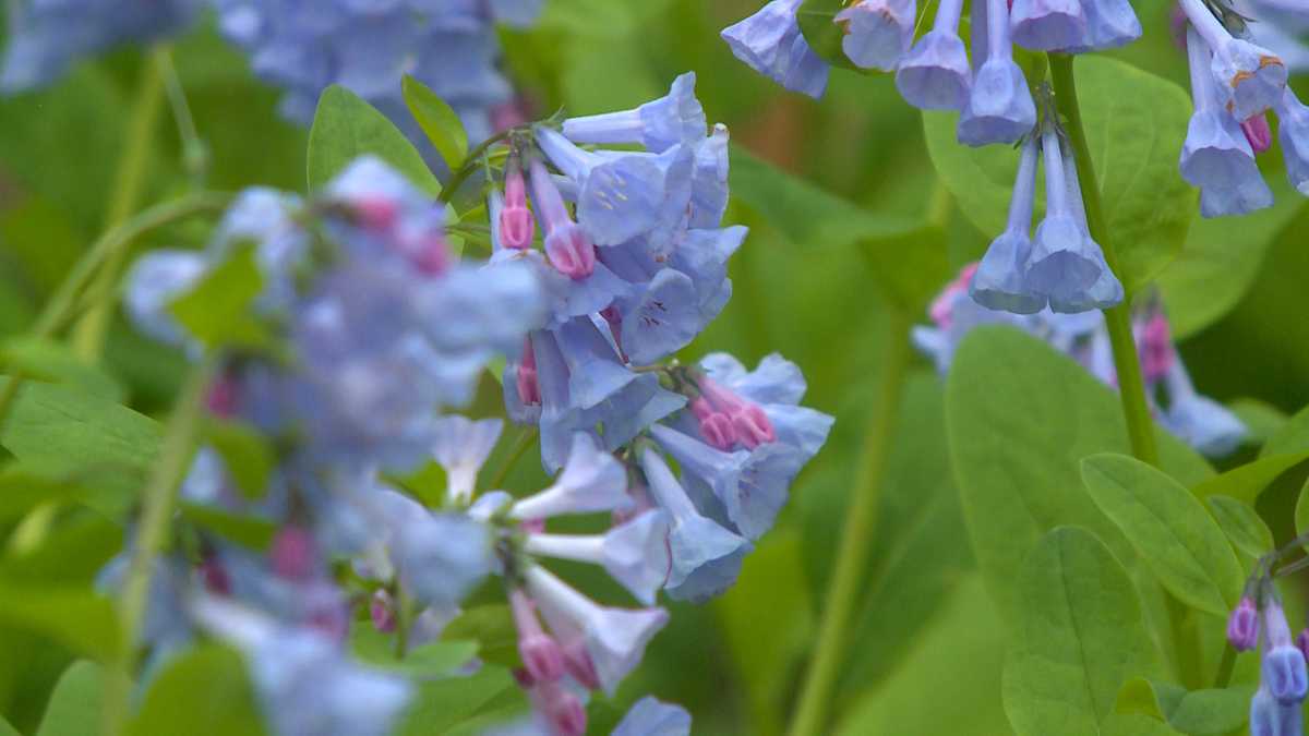 PHOTOS: Cortney Kintzer's Spring Morning