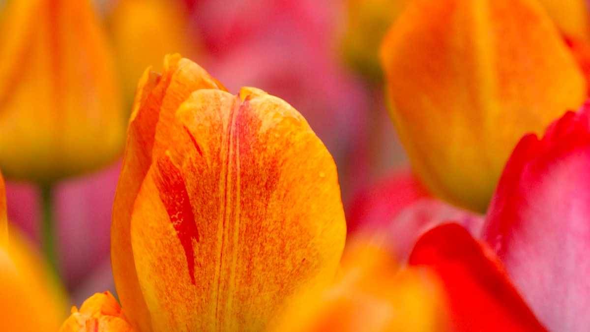 PHOTOS: Cortney Kintzer's Spring Morning