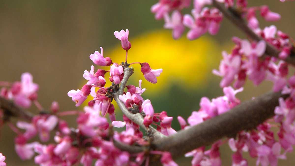 PHOTOS: Cortney Kintzer's Spring Morning