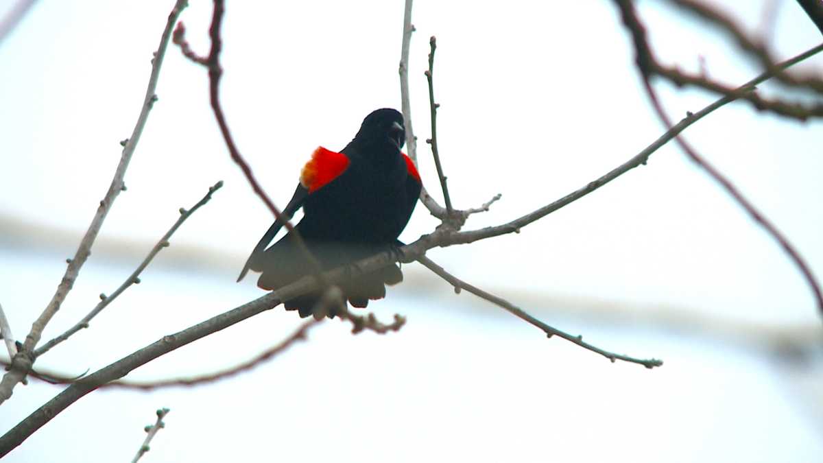 PHOTOS: Cortney Kintzer's Spring Morning
